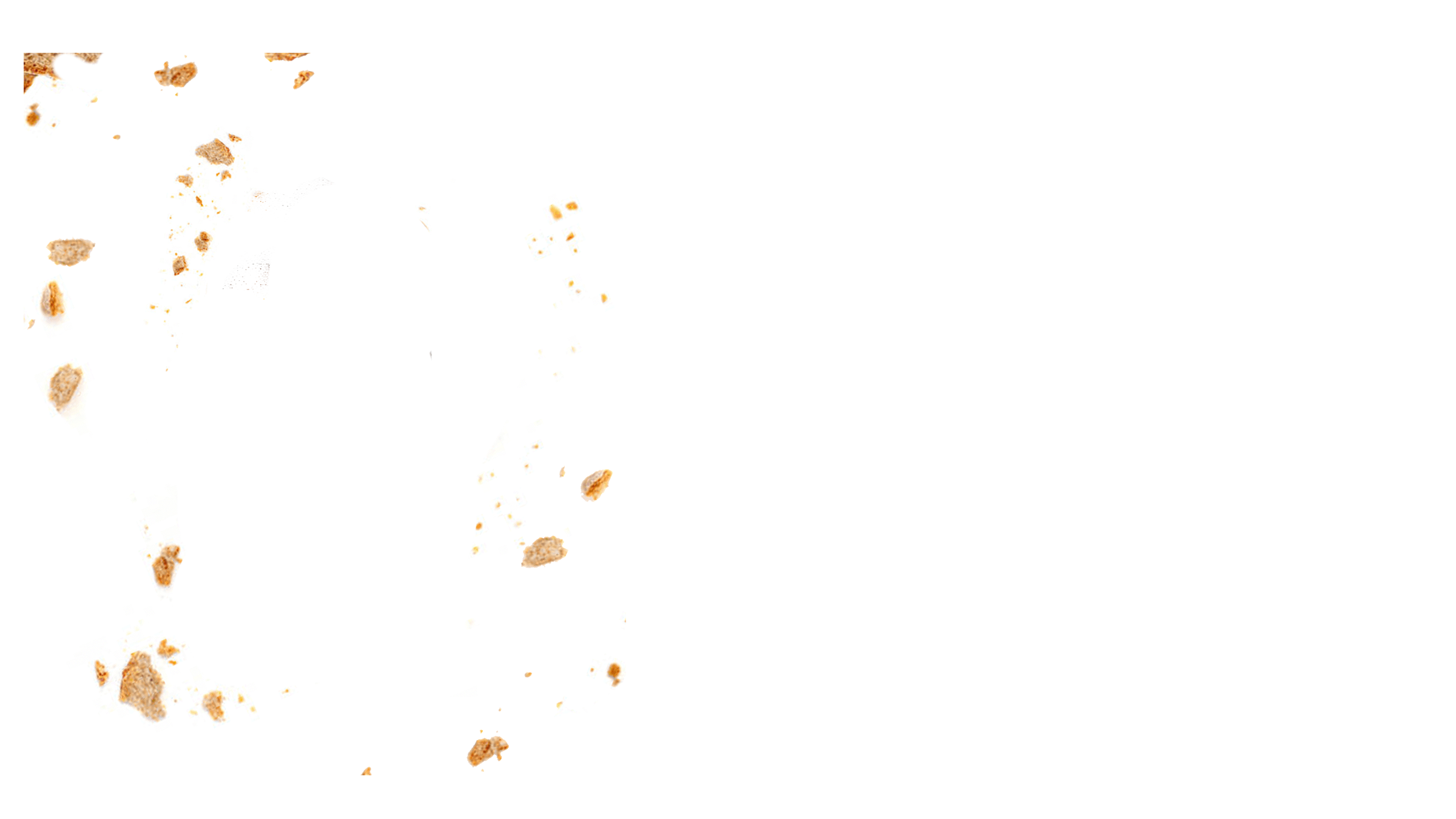 Alimentos Colpac – Por la alegría de vivir saludable